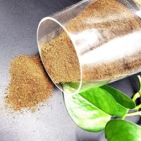 China Defatted Grub Protein Feed 45% Crude Protein for Livestock Poultry Aquatic for sale