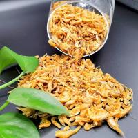 China Pets Food Dried River Shrimp Bulk For Animal Bone Growth for sale
