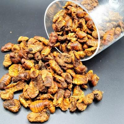 China Pet Feed Dried Silkworm Pupae Bulk For Bird Reptiles Koi Fish for sale