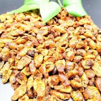 China OEM Dried Silkworm Pupae Pets Feed DSP High Protein Insects for sale