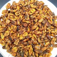 China Natural Dried Silkworm Pupae 70% Protein for Hamster Porcupine Small Animals Feed for sale