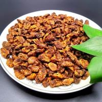 China Dried Silkworm Pupae Bulk 5kg 10kg High Protein Feed for Turtles Birds Fish for sale