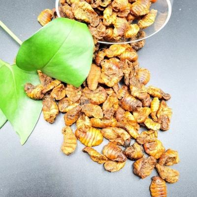 China High Protein Dried Silkworm Pupae 70% Feed for Koi Turtles Wild Birds Hedgehogs for sale