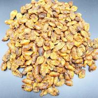 China High Protein Dried Silkworm Pupae 70% Feed for Koi Turtles Wild Birds Hedgehogs for sale