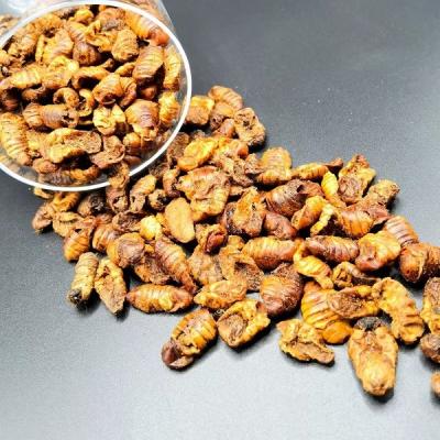China Insect DSP Dried Silkworm Pupae Fish Reptiles Chicken Feed Protein Content for sale