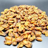 China Insect DSP Dried Silkworm Pupae Fish Reptiles Chicken Feed Protein Content for sale
