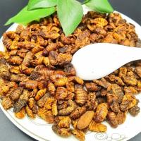 China Feed Grade Natural Dried Silkworm Pupae Protein For Animals Pets for sale