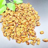 China Feed Grade Natural Dried Silkworm Pupae Protein For Animals Pets for sale