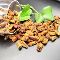 China Dried Silkworm Pupae Meal 70% Protein Pet Food for Hedgehogs Turtles Birds for sale