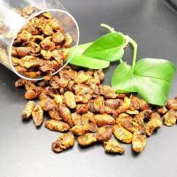 China Sun Dried Silkworm Pupae Raw Material For Birds Reptiles Fish for sale