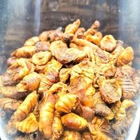 China Dried Silkworm Pupae High Protein 70% Feed for Koi Birds Reptiles Hedgehogs for sale