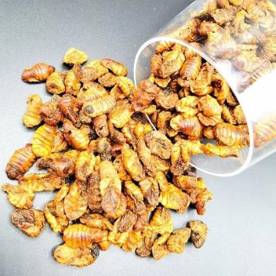 China Dried Silkworm Pupae High Protein 70% Feed for Koi Birds Reptiles Hedgehogs for sale