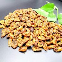 China Premium Dried Silkworm Pupae Meal 70% Protein Insect Feed for Poultry Aquatic Reptiles for sale