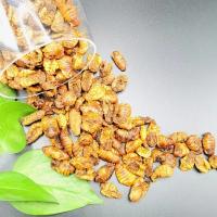 China Premium Dried Silkworm Pupae Meal 70% Protein Insect Feed for Poultry Aquatic Reptiles for sale