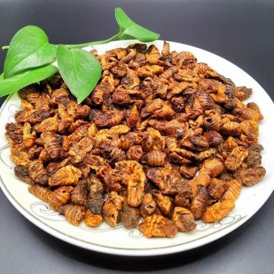 China Silkworm Chrysalis Pupa DSP Protein / Insect Feed For Chickens Pets for sale