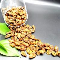China Dried Silkworm Chrysalis Pet Food 70% Protein Insect Feed for Chicken Poultry for sale