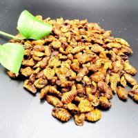 China DSP Dried Silkworms Insects For Hedgehogs Koi Turtle Lizard Porcupine Hamster for sale