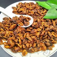 China DSP Dried Silkworms Insects For Hedgehogs Koi Turtle Lizard Porcupine Hamster for sale