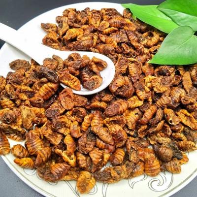 China DSP Dried Silkworms Insects For Hedgehogs Koi Turtle Lizard Porcupine Hamster for sale