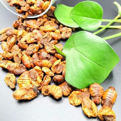 China Sun Dried Silkworms Chrysalis Pupae Insect Protein For Animal Feed for sale
