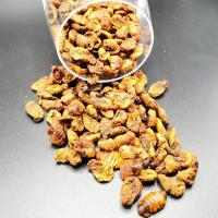 China Natural Dried Silkworm Pupae 70% Protein Pet Food Feed for Birds Reptiles Fish for sale