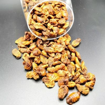 China Natural Dried Silkworm Pupae 70% Protein Pet Food Feed for Birds Reptiles Fish for sale