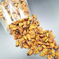 China Natural Dried Silkworm Chrysalis Meal 70% Protein for Chicken Fish Reptile Feed for sale