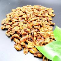 China Dried Silkworm Pupae Feed 70% Protein 20% Fat for Poultry Fish Reptiles Pets for sale