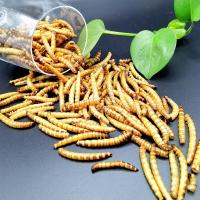 China Microwave Dried Super Giant Mealworms 48% Protein Pet Poultry Feed 5kg Bag for sale