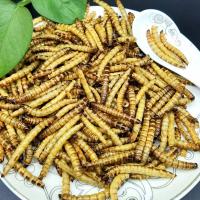 China Dried Super Giant Mealworms 48% Protein Animal Food for Birds Lizards Reptiles for sale