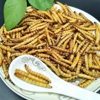 China Dried Super Giant Mealworms High Protein 48 Pet Food for Small Animals 5kg for sale