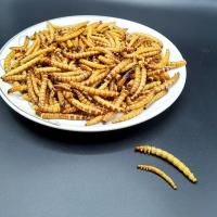China Dried Super Giant Mealworms 48% Protein High Energy Insect Food for Reptiles Birds Poultry for sale