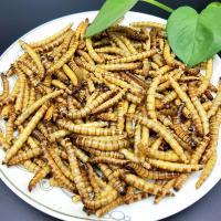 China Dried Giant Mealworms 48% Protein Superworms for Pet Bird Fish Feed 5kg for sale
