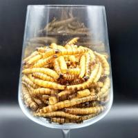 China Dried Giant Mealworms 48% Protein Superworms for Pet Bird Fish Feed 5kg for sale
