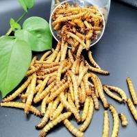 China Dried Morio Worms Feed Grade High Protein 48% Superworms for Birds Poultry Reptiles for sale