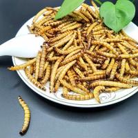China Dried Super Giant Mealworms 48% Protein 5% Moisture for Large Lizards Poultry Pets Food for sale