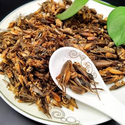 China Dried Crickets 63% Protein Calcium Rich Bird Reptile Fish Food 5kg for sale