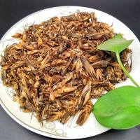 China Wholesale Sun Dried Crickets 63% Protein Bulk for Poultry Reptiles Pets Food for sale