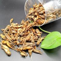 China Wholesale Sun Dried Crickets 63% Protein Bulk for Poultry Reptiles Pets Food for sale