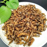 China High Protein Dried Crickets 63% Natural Reptile Turtle Frog Food 5kg Bulk for sale