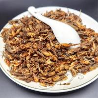 China Dried Black Crickets Pet Food 63% Protein No Additive for Reptiles Birds Fish for sale