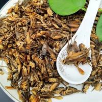 China Feed Grade Dried Crickets 63% Protein for Birds Poultry Fish Reptiles Amphibians Hamsters for sale