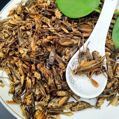 China Feed Grade Dried Crickets 63% Protein for Birds Poultry Fish Reptiles Amphibians Hamsters for sale