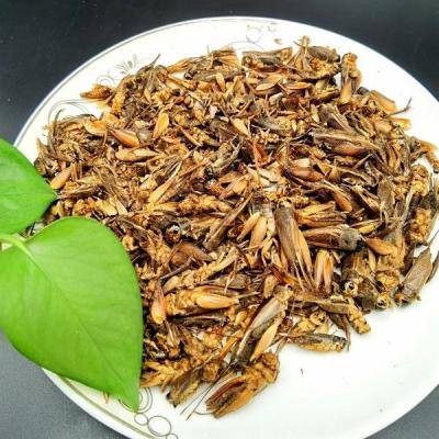 China Dried Crickets Pet Food 63% Protein for Poultry Fish Reptiles Birds 5kg for sale