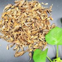 China Dried Crickets Pet Food 63% Protein for Poultry Fish Reptiles Birds 5kg for sale