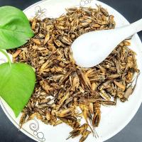 China Natural Dried Crickets 63% Protein Bulk for Turtles Reptiles Pets Food for sale