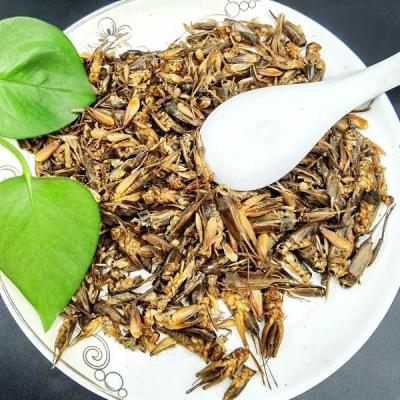 China Natural Dried Crickets 63% Protein Bulk for Turtles Reptiles Pets Food for sale