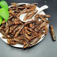 China Dried Grasshopper Pet Food 56% Protein 28% Fat for Fish Birds Turtles Hamsters for sale