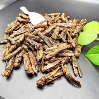 China Deep Dried Grasshopper Dried Locust Reptile Amphibian Pet Food 56% Protein 8% Moisture for sale