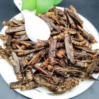 China Natural Dried Grasshopper Locust Feed 56% Protein 28% Fat for Pets Poultry Livestock Aquatic for sale